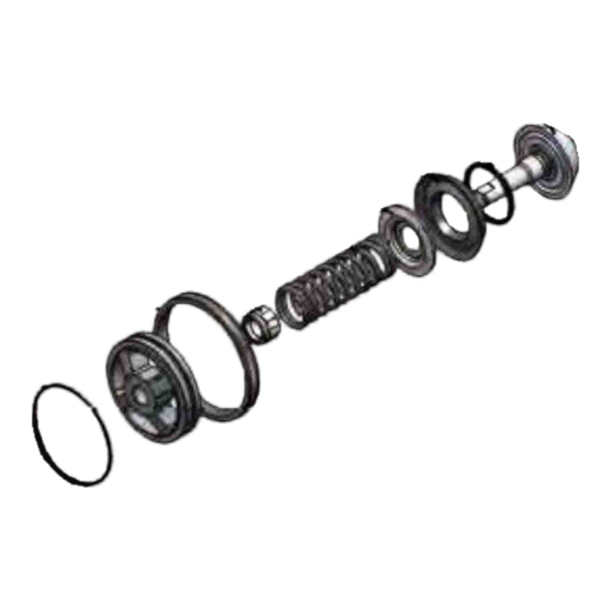 Repair Kit, Check Valve, Dart, 2" 1502 FxM, STD Service (NNA) – Big ...